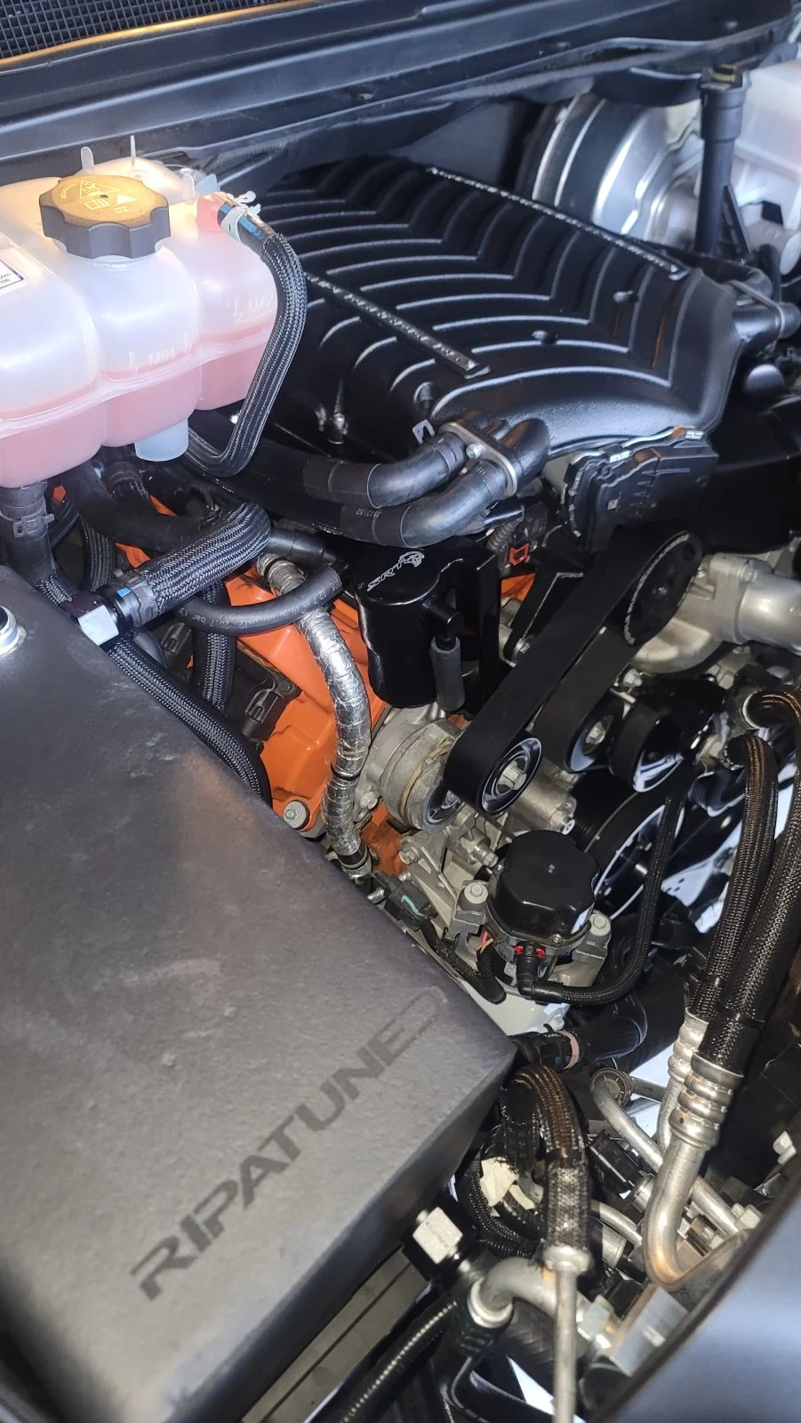 20230129_064717.jpg | RAM TRX Forum