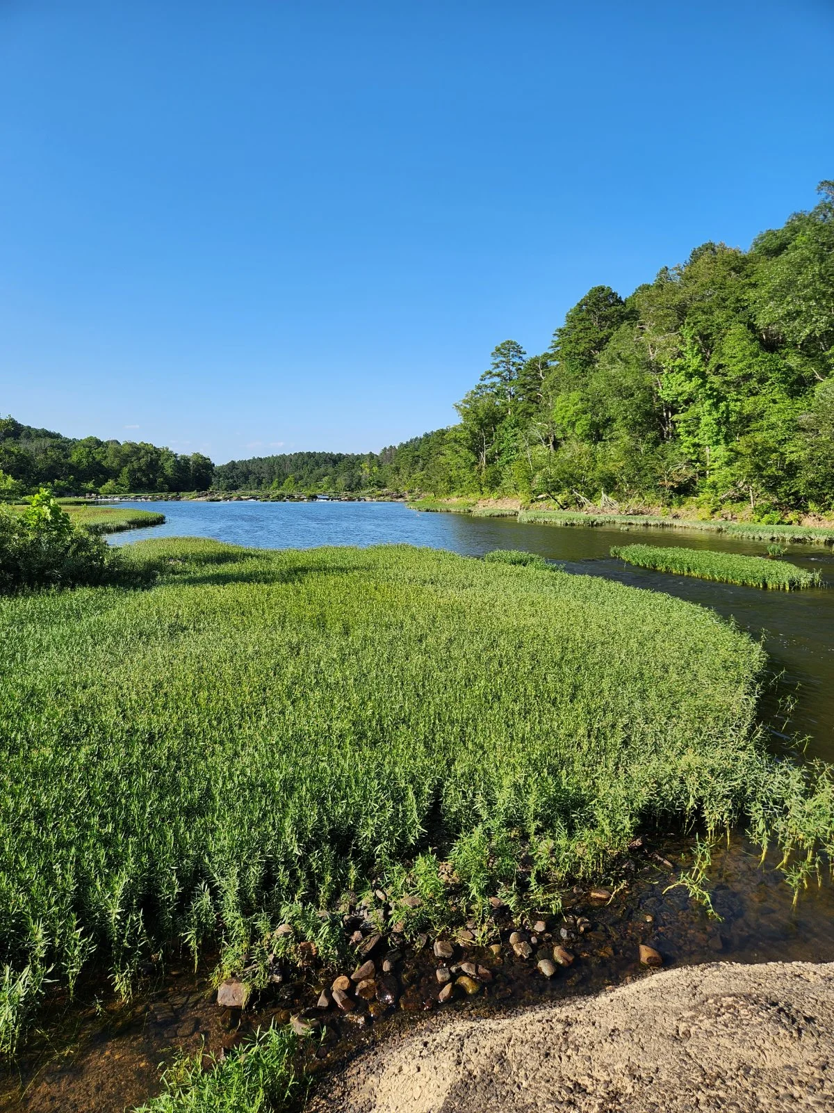 20230722_180946.jpg | RAM TRX Forum