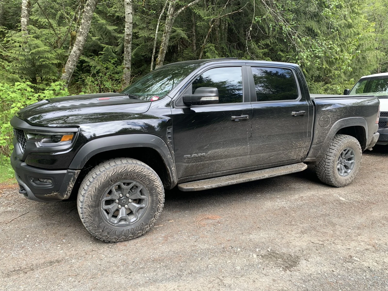 4B06F40D-CB1E-4BD4-85CB-2EE94CE33F4E.jpeg | RAM TRX Forum