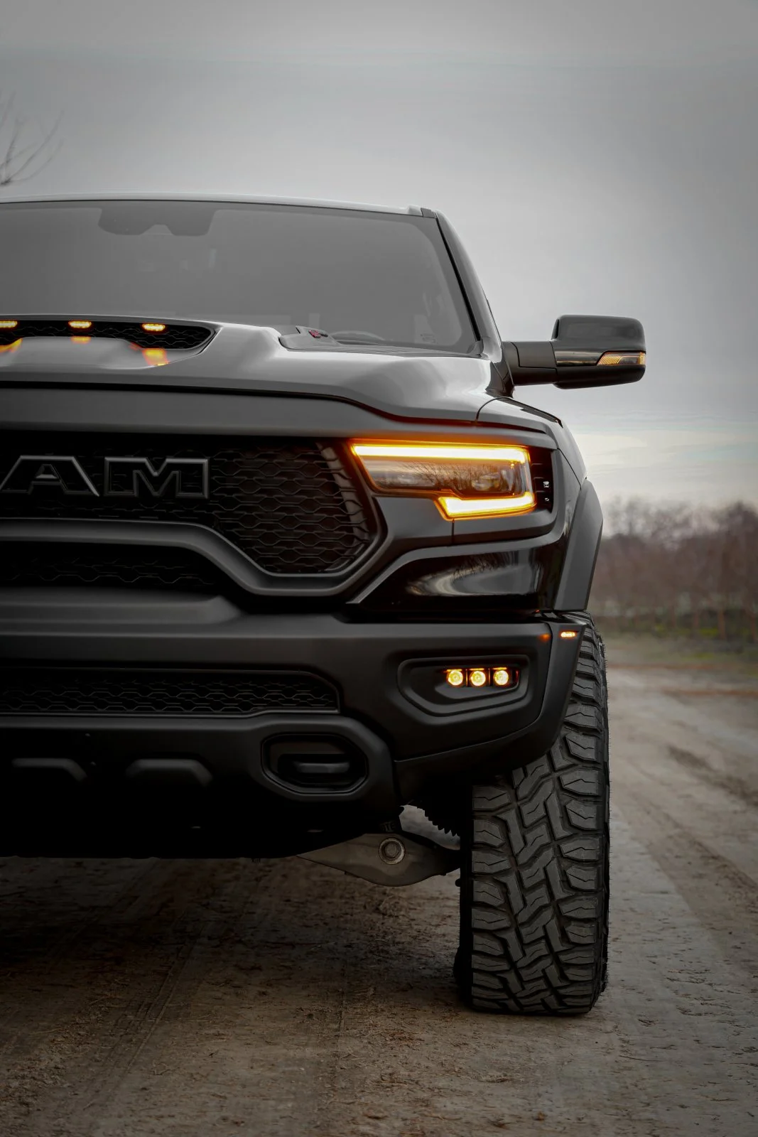 5A6A3285.jpeg | RAM TRX Forum