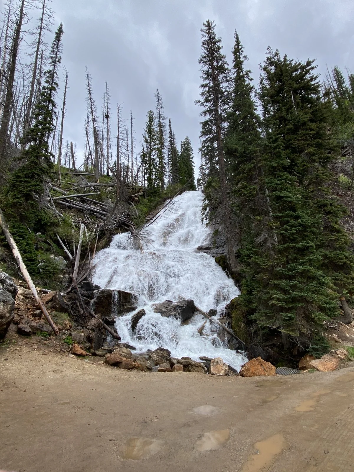 7E9A6F3E-8C93-4E1A-B0CF-2D799552A171.jpeg | RAM TRX Forum