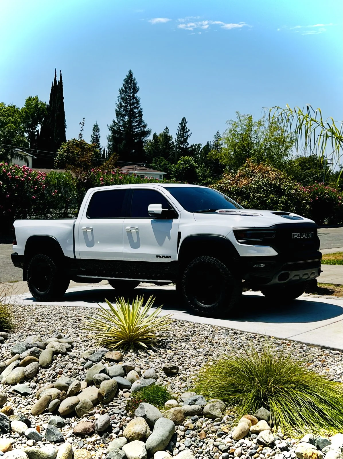 A0DC297E-3111-470C-849B-55804900D569.jpeg | RAM TRX Forum