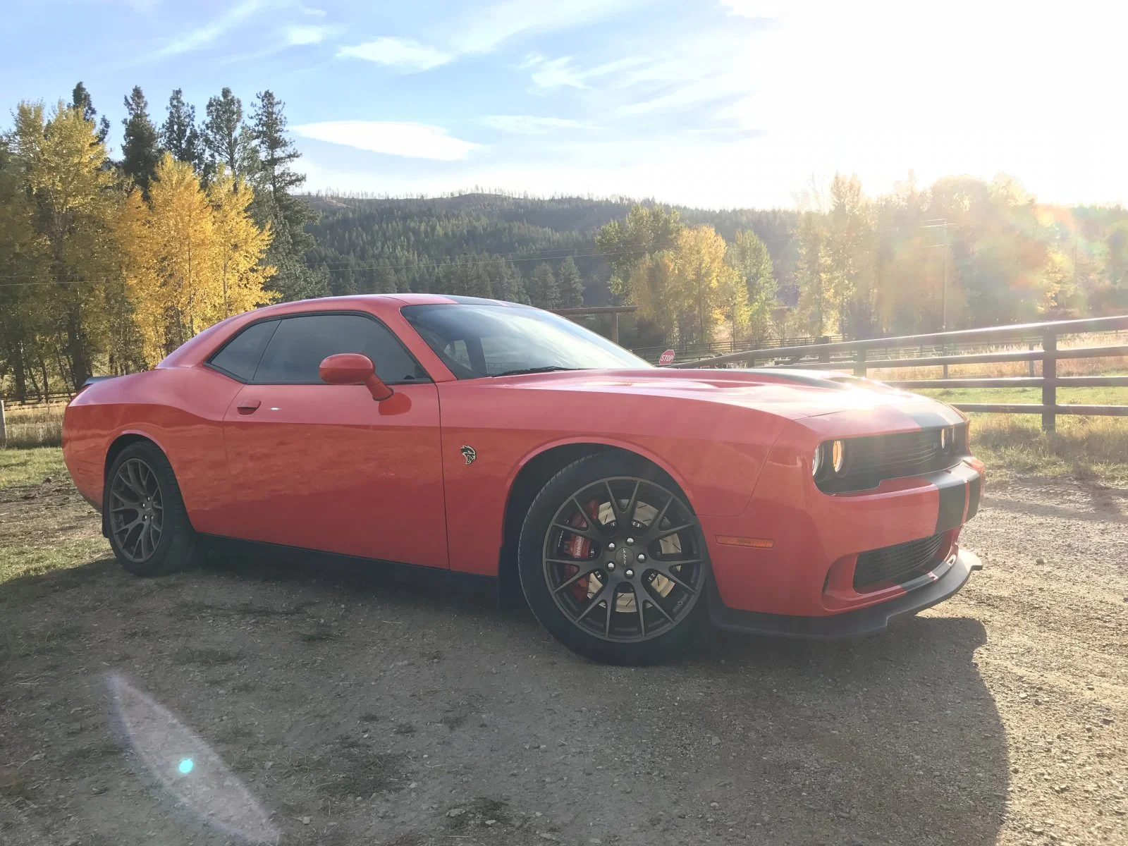 EF8EA70B-66C9-41F2-B282-8B9E452BEDE3.jpeg | RAM TRX Forum