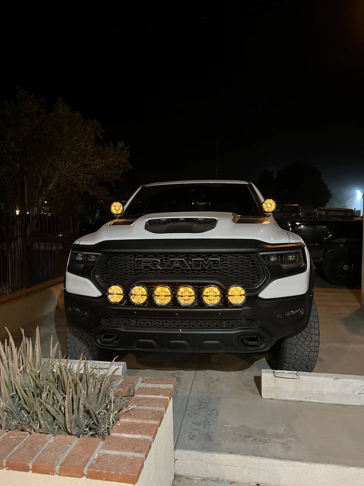 IMG_2608.JPG | RAM TRX Forum