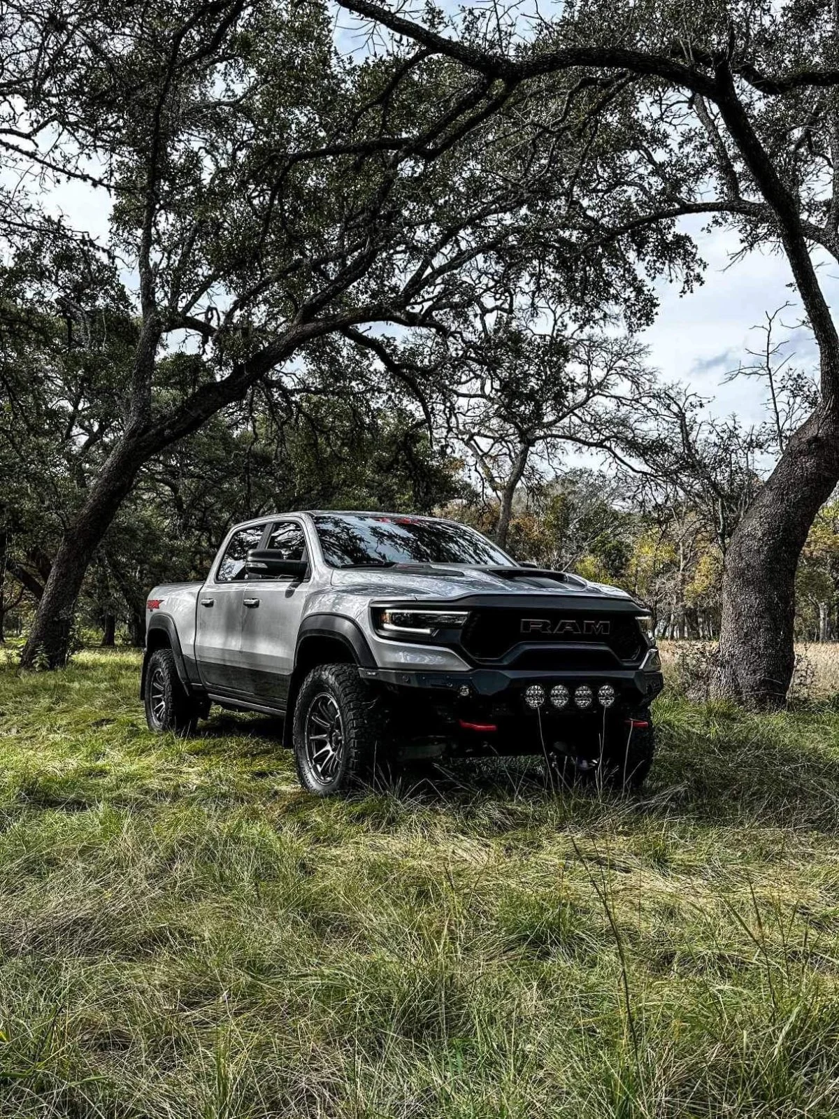 IMG_2791.jpeg | RAM TRX Forum