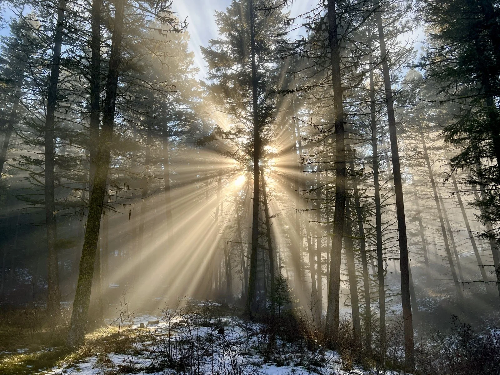 IMG_4701.jpeg | RAM TRX Forum