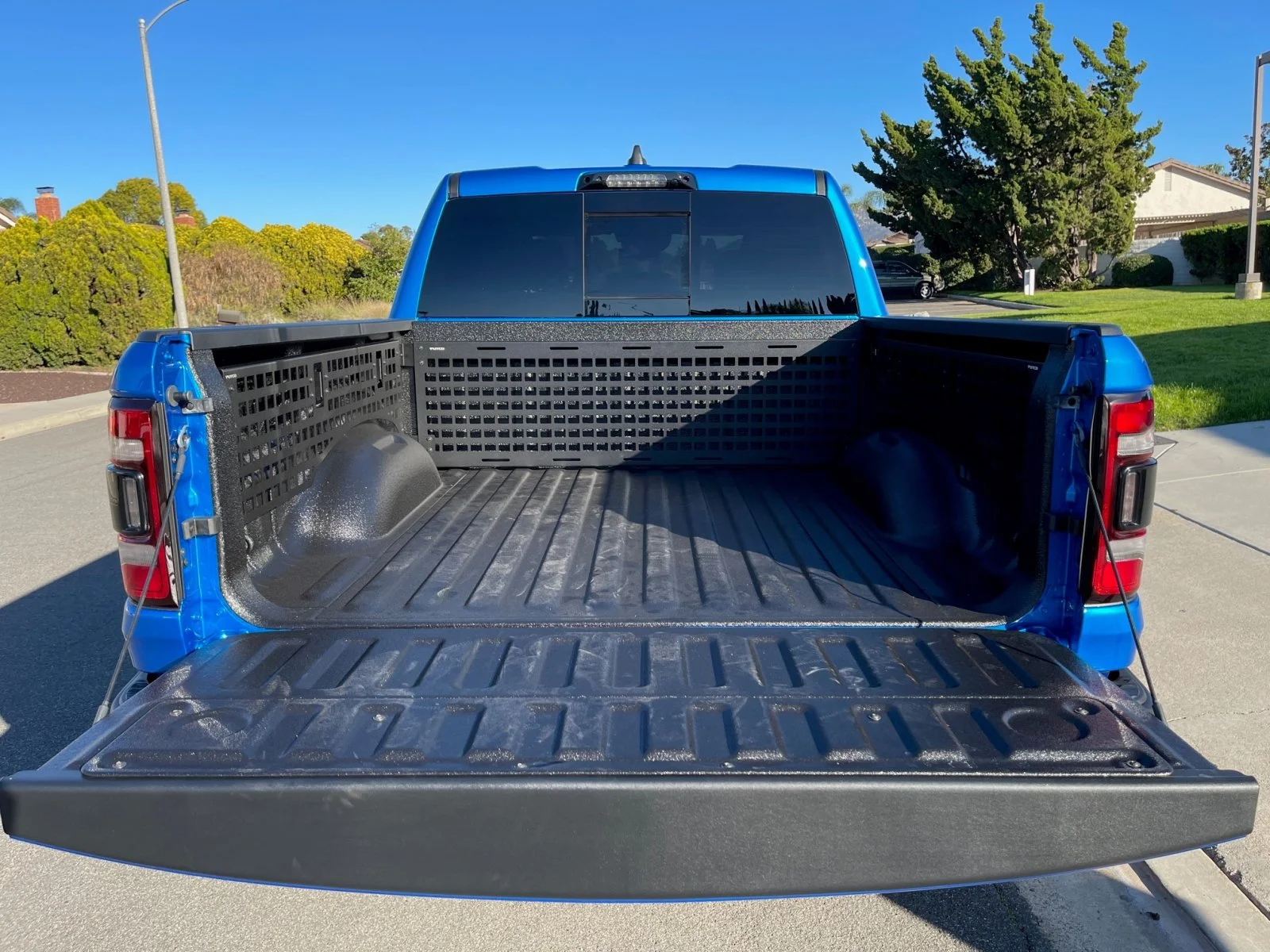 Molly Panels (1).jpg | RAM TRX Forum