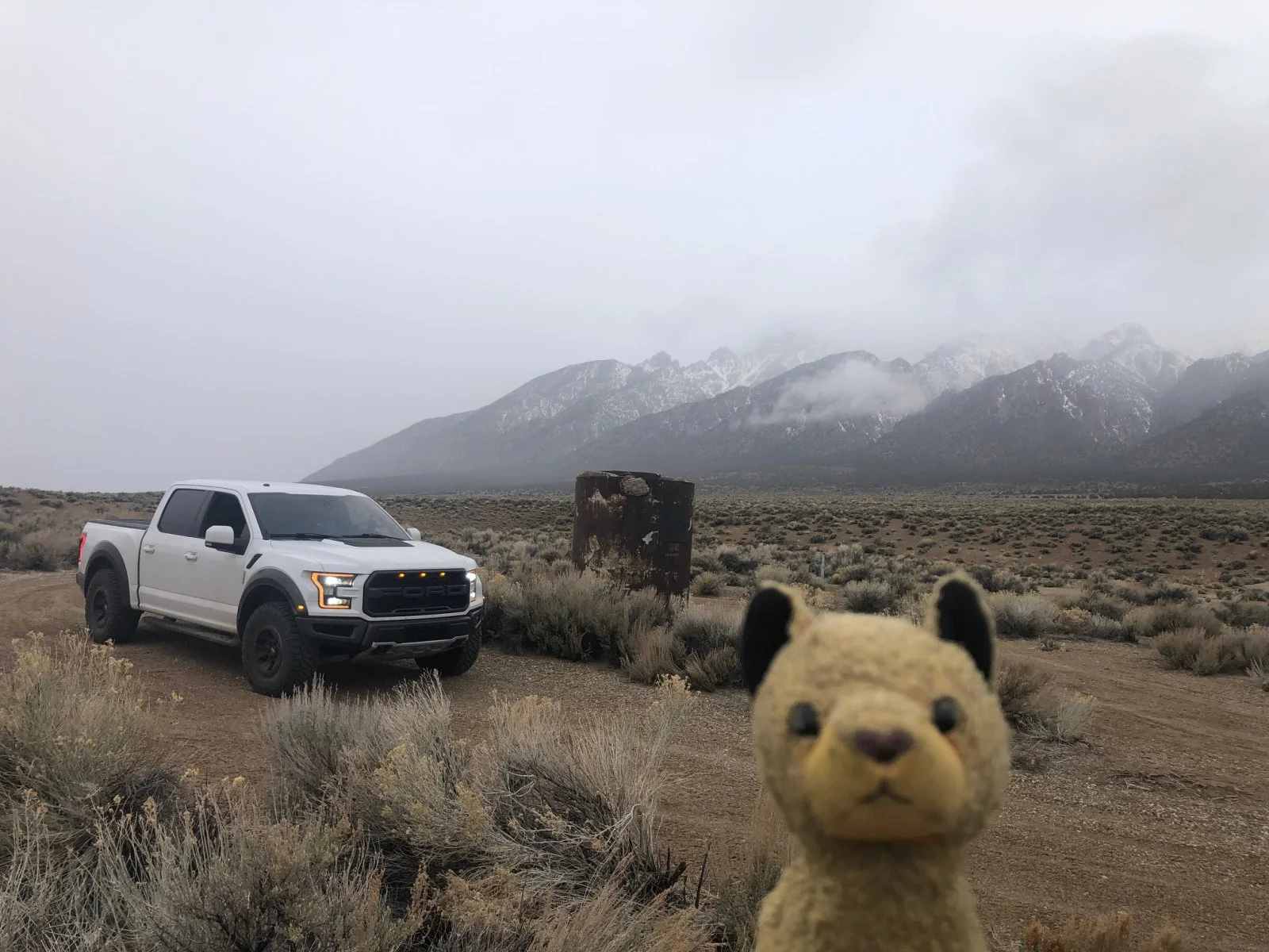 Raptor Project Faultless.jpg | RAM TRX Forum